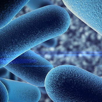 Try probiotics to repair the damage caused by antibiotics